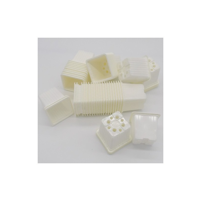 Godet semis 7x7 cm Blanc pour semis, boutures, repiquages