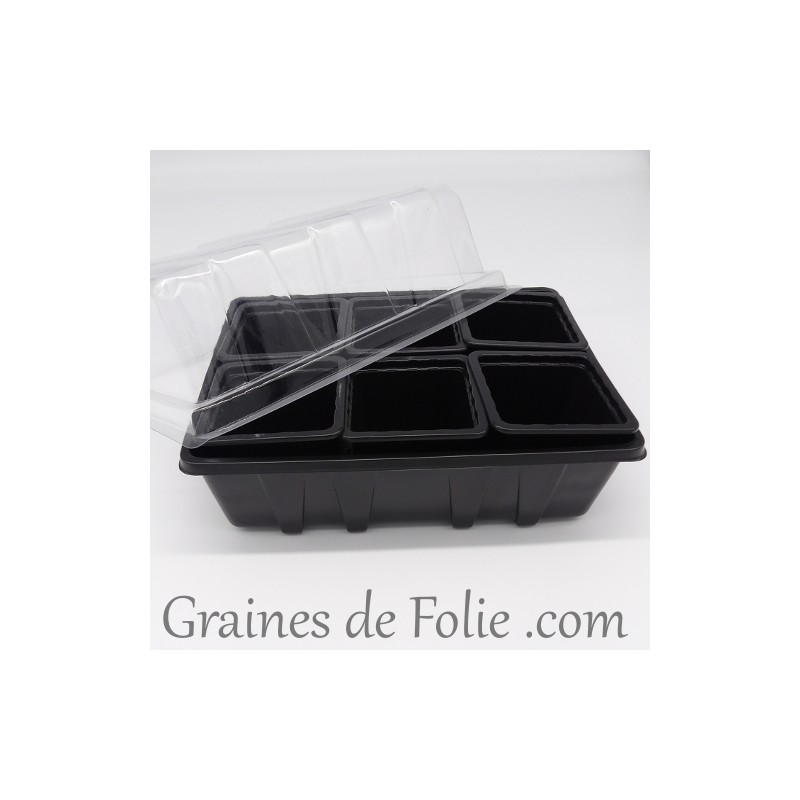 Pack mini serre + 6 godets 7x7 cm noirs