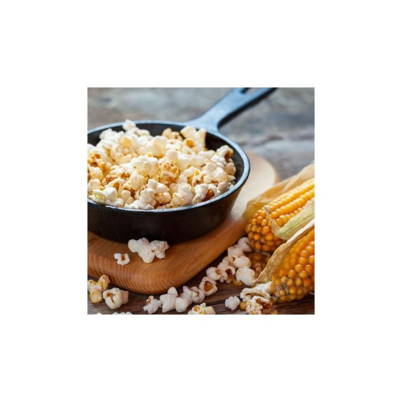 Graines BIO de Maïs POP CORN sur GRAINESdeFOLIE.com