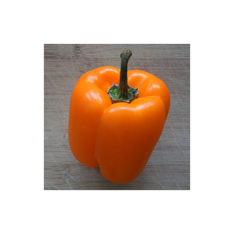 Graines Bio Poivron Mini Bell Rouge