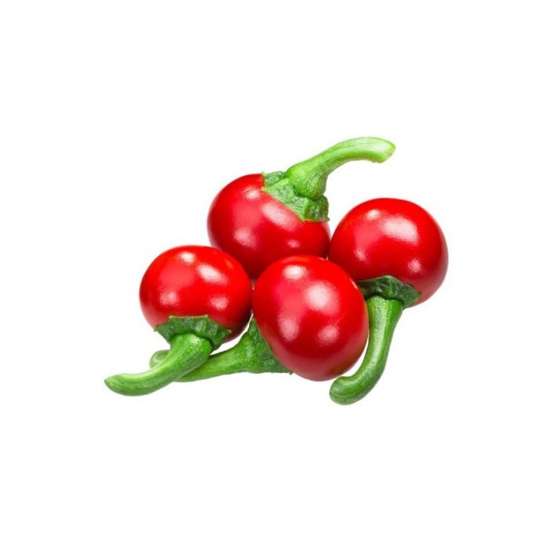 Graines Bio de Poivron Cerise Rouge